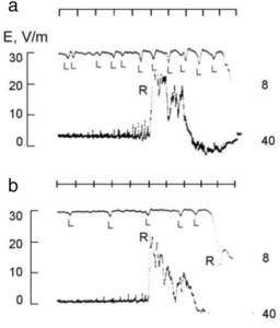 How do lightning rods work? - Exploratio Journal
