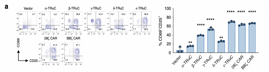 The effect of T-cell receptors on cancer therapy - Exploratio Journal