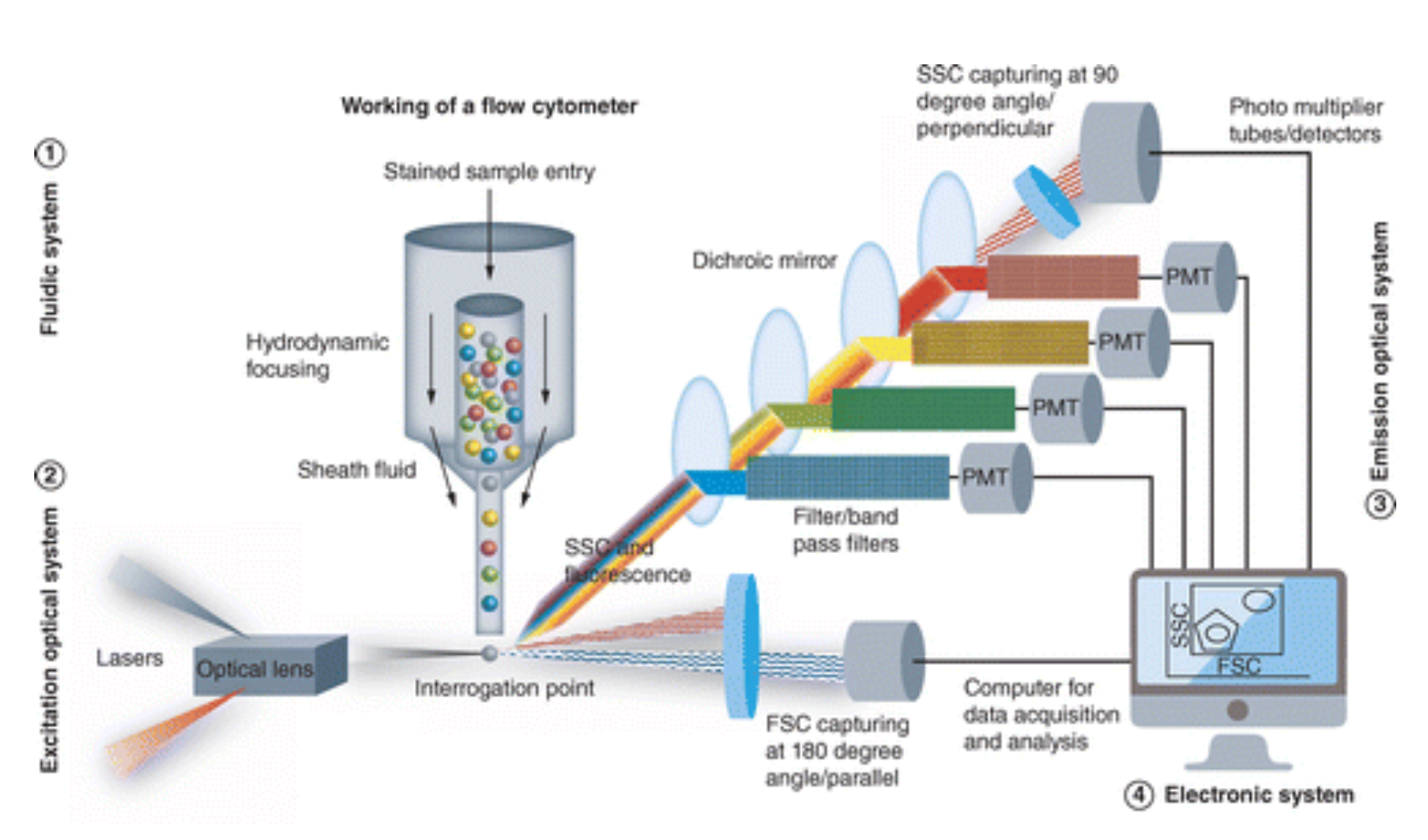 Large-Scale Application of Flow Cytometry to Address Breast Cancer ...