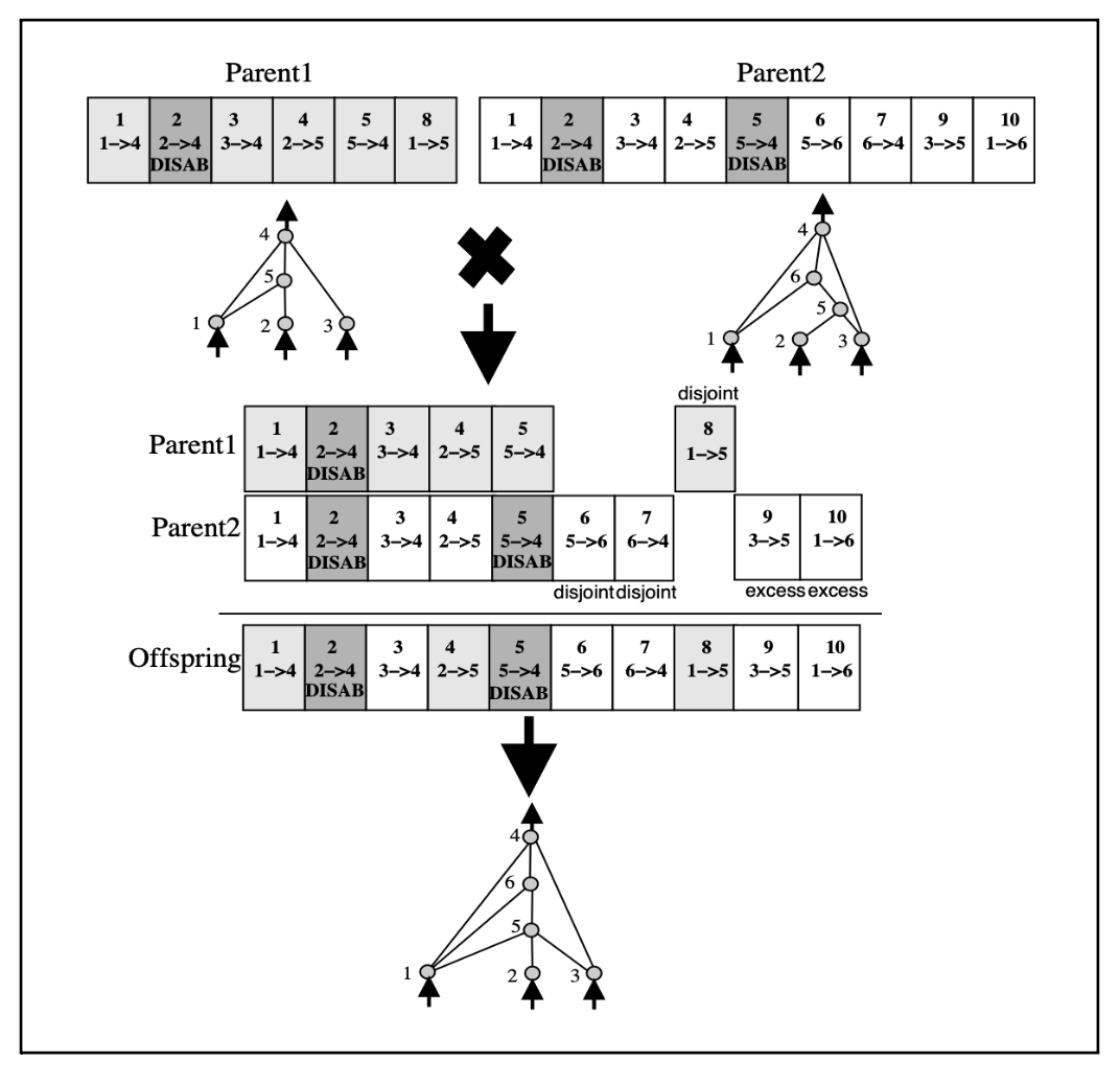Developing Future AI Prospects With a Bio-inspired Approach: A Review ...