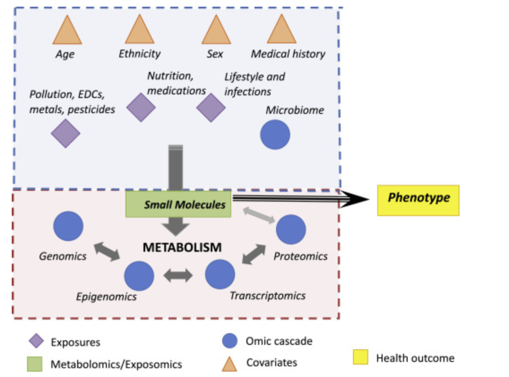 Metabolomics, its applications, and its intersection with Machine ...