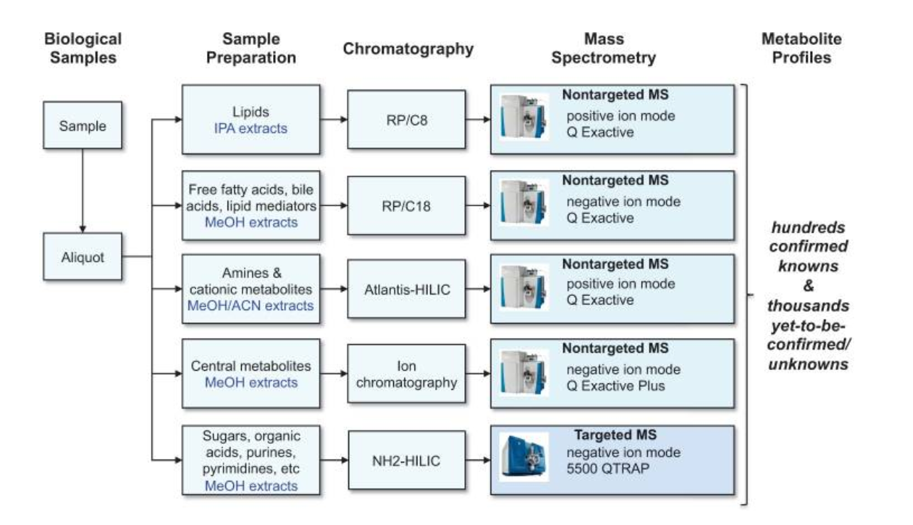 Metabolomics Its Applications And Its Intersection With Machine