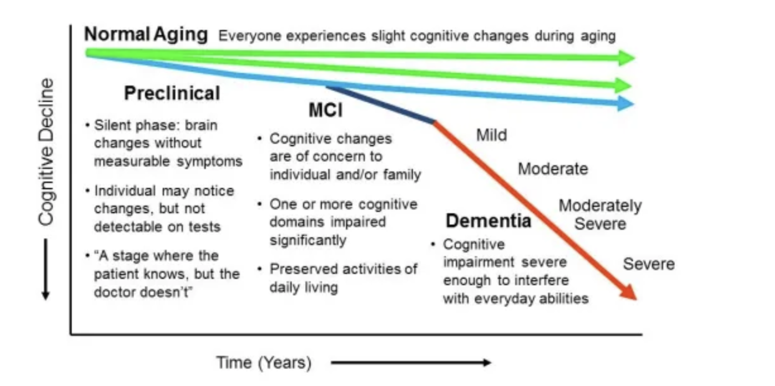 Developing Computer-based Cognitive Interventions for Aging Populations ...