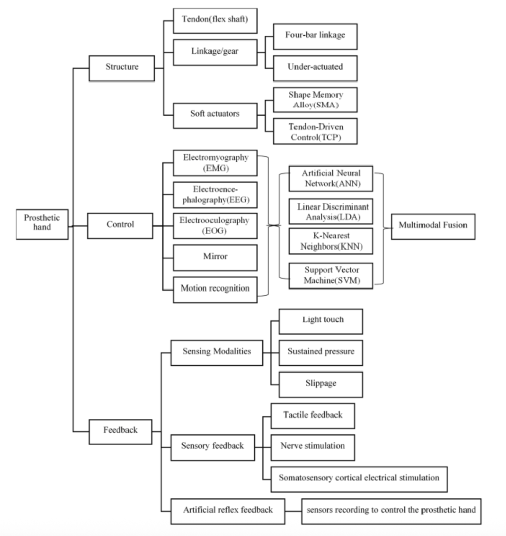 Bridging Biology and Machines: A Review of Bionic Systems, Sensors, and ...