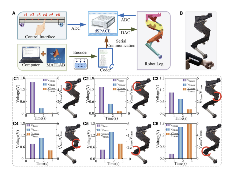 Bridging Biology and Machines: A Review of Bionic Systems, Sensors, and ...