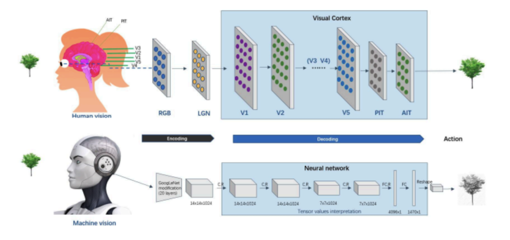 Bridging Biology and Machines: A Review of Bionic Systems, Sensors, and ...