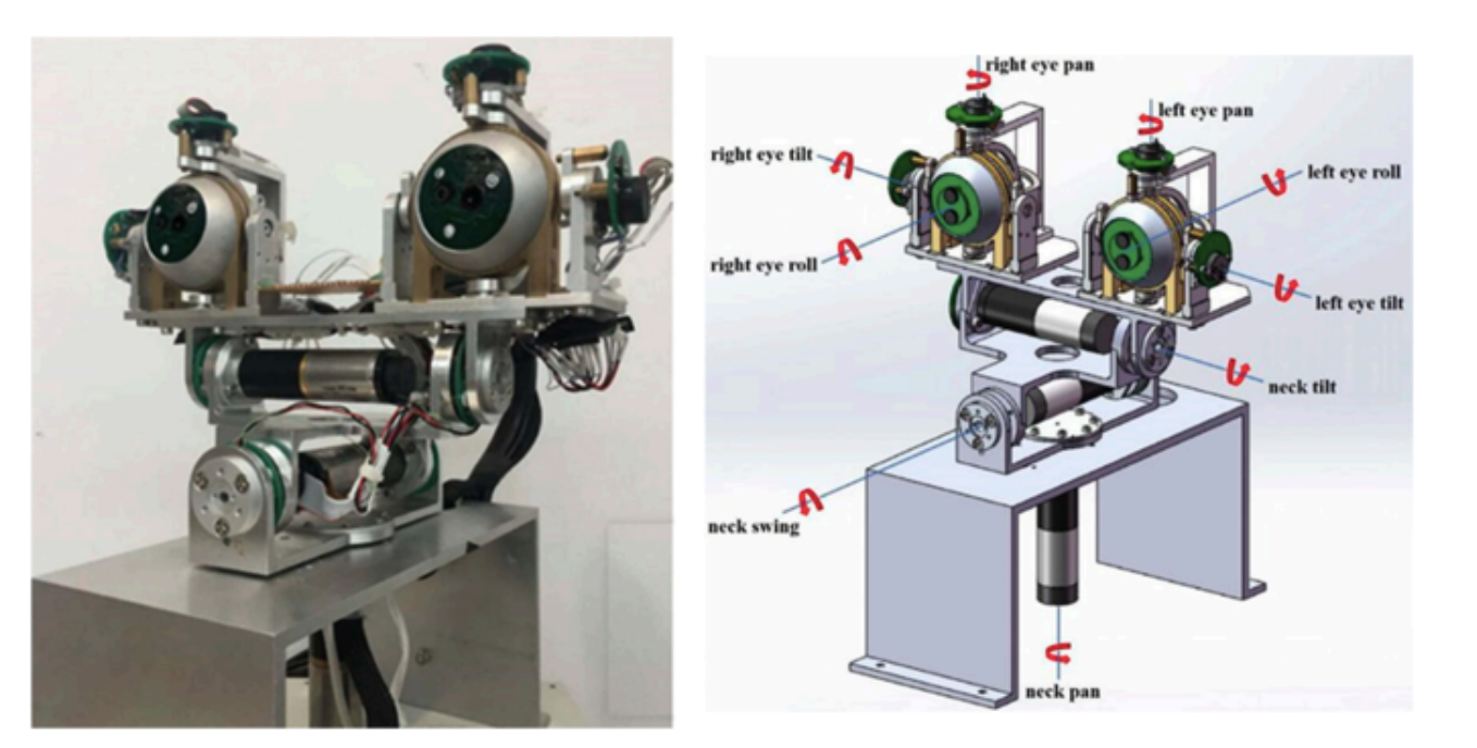 Bridging Biology and Machines: A Review of Bionic Systems, Sensors, and ...