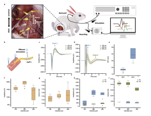 Bridging Biology and Machines: A Review of Bionic Systems, Sensors, and ...