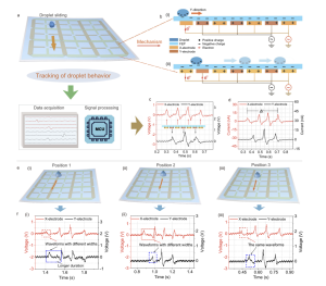 Bridging Biology and Machines: A Review of Bionic Systems, Sensors, and ...